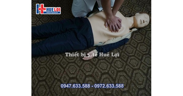 Mô hình cấp cứu ngừng tuần hoàn 170cm